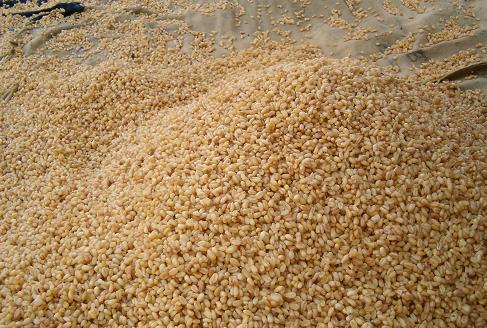 hedik | Akpınar Köyü Aflak Web Sitesi